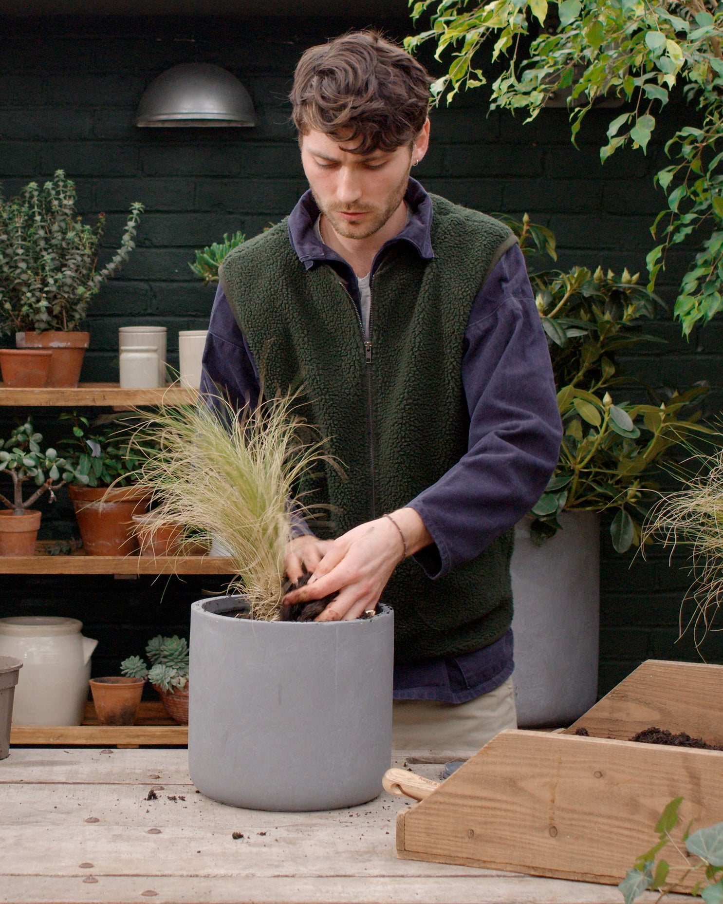 How to pot a plant - Soto Gardens