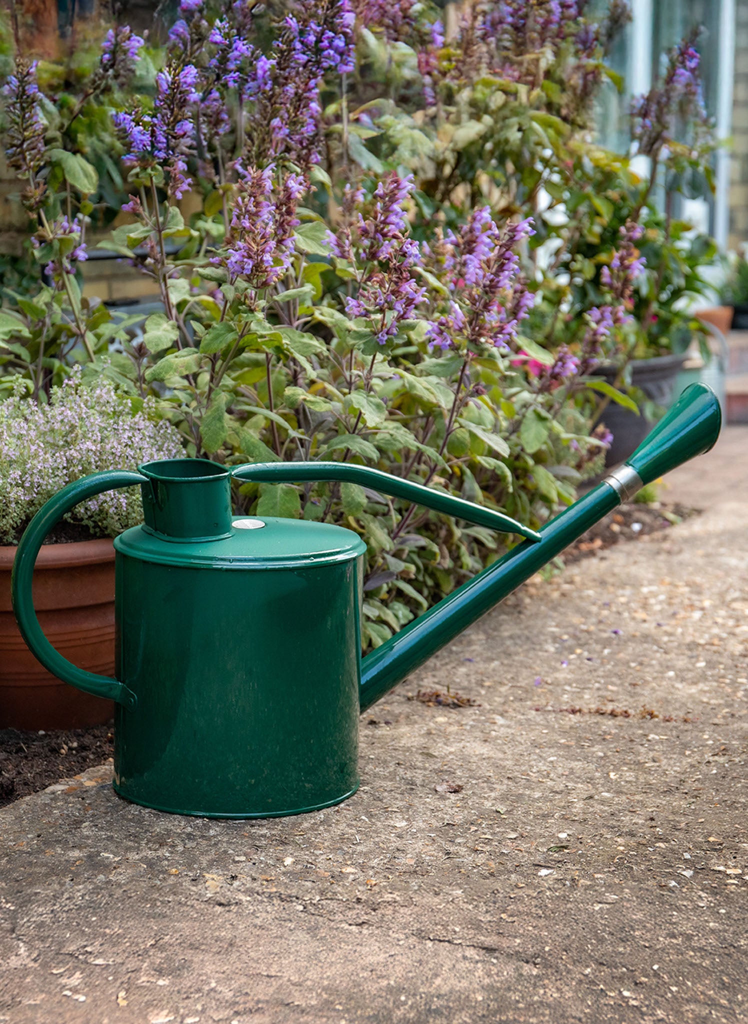 Classic Long Reach Watering Can - 9L – Soto Gardens