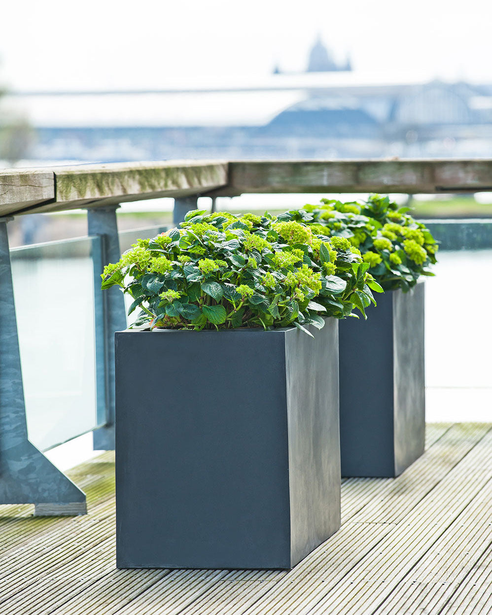 Jort Black Trough Planter | Fibrestone Indoor & Outdoor | Soto Gardens
