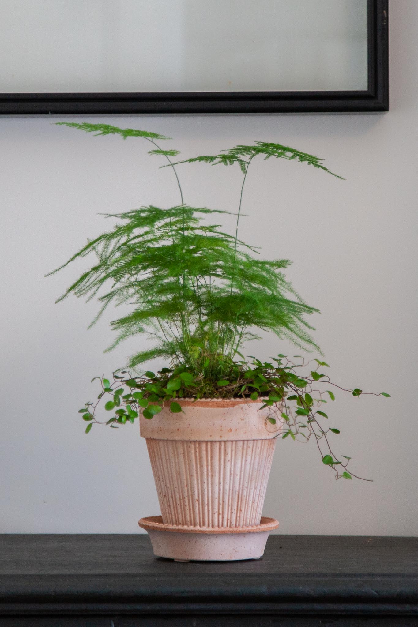 Bergs Terracotta Simona Pot - Rosa - Soto Gardens