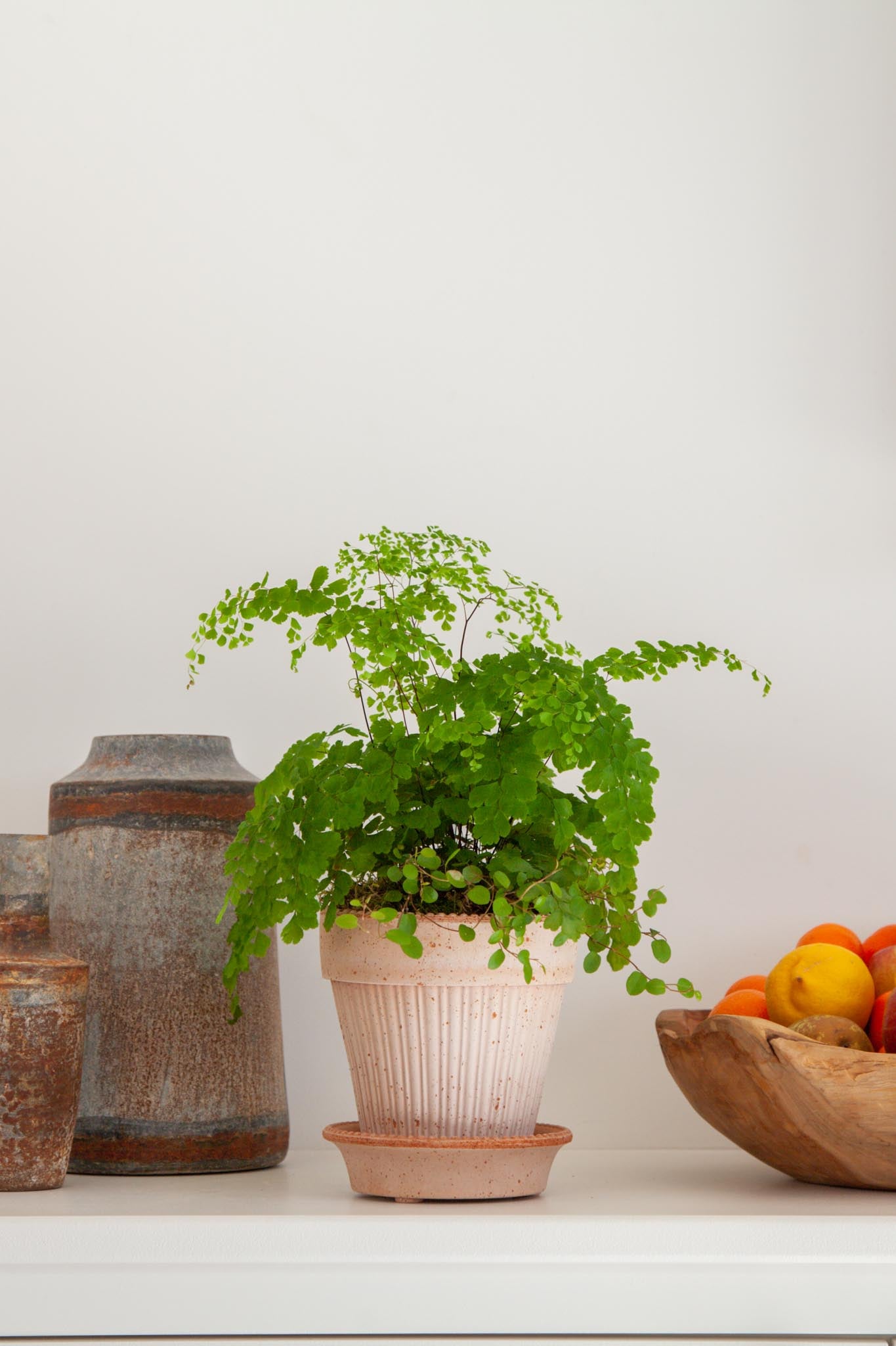 Bergs Terracotta Simona Pot - Rosa - Soto Gardens