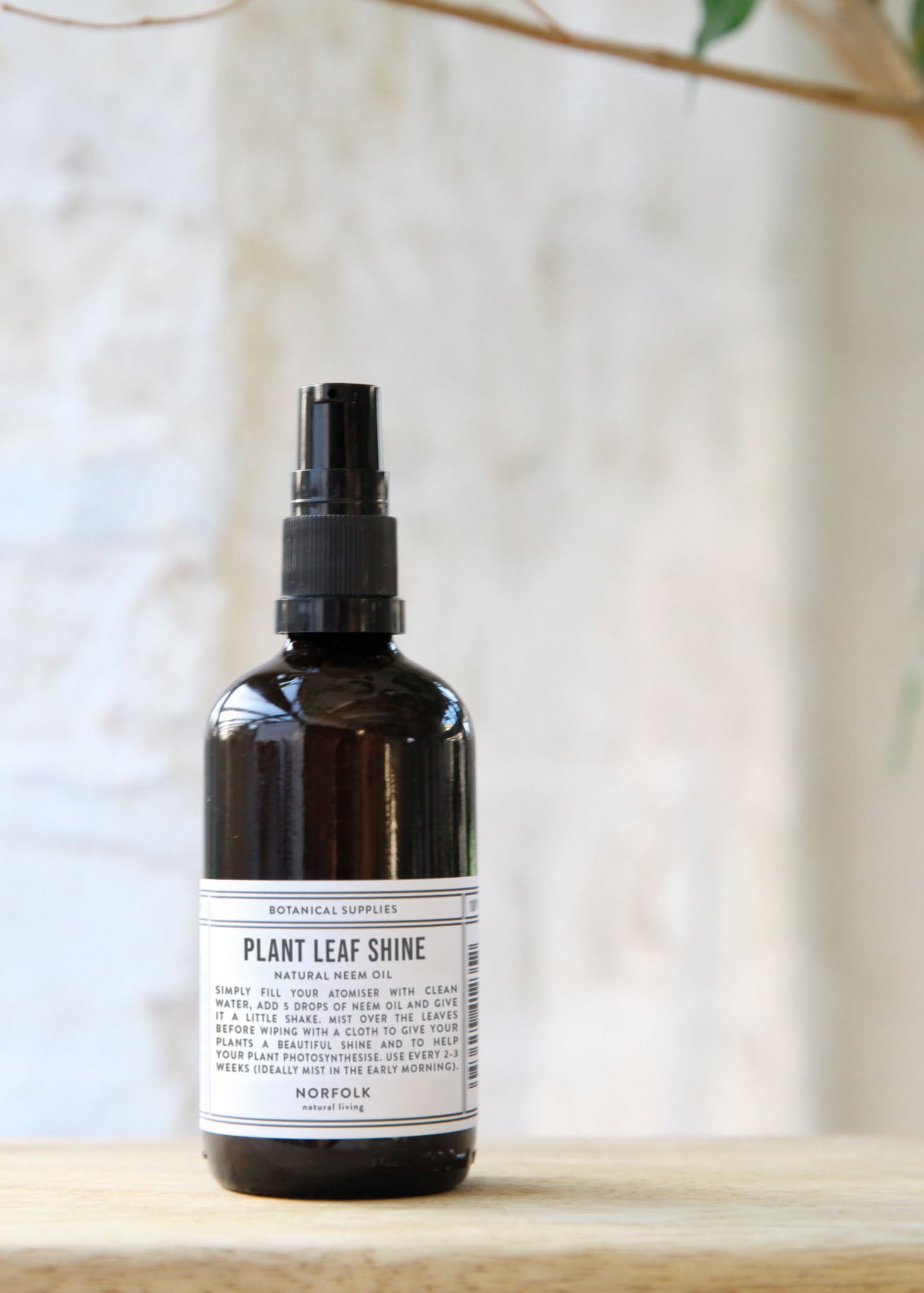 Plant Leaf Shine Set - Soto Gardens