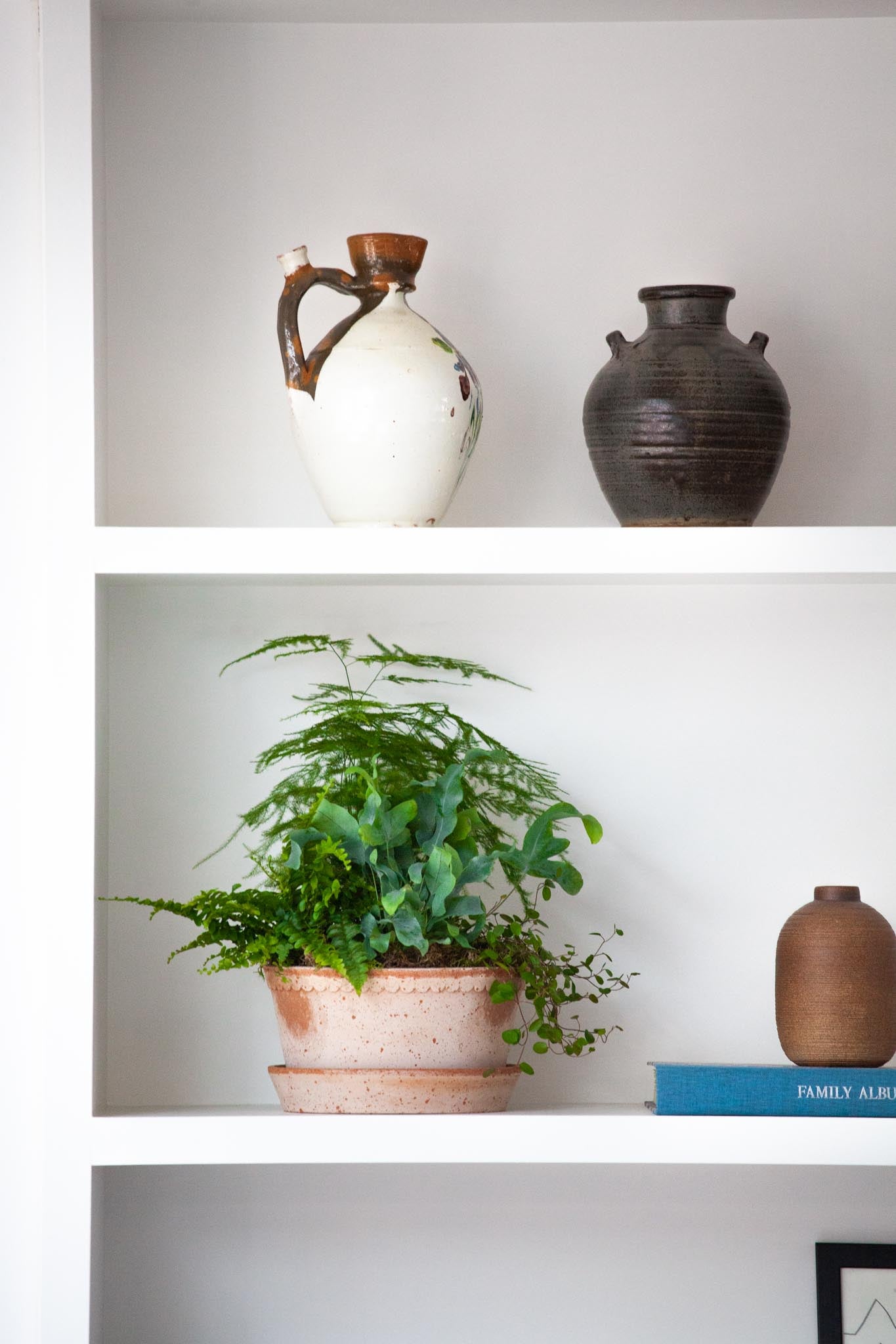 Fern Planter Kit - Soto Gardens