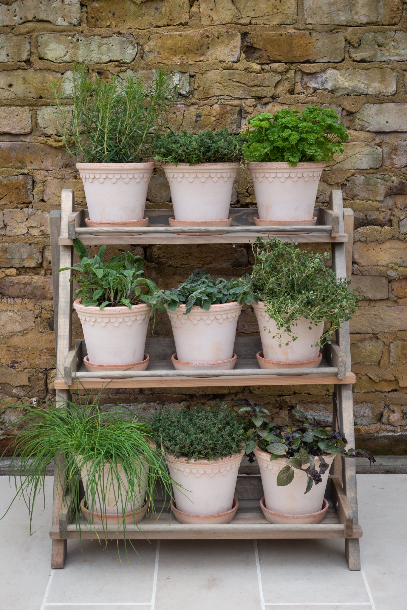 Bergs Terracotta Copenhagen Herb Pot - Rosa - Soto Gardens