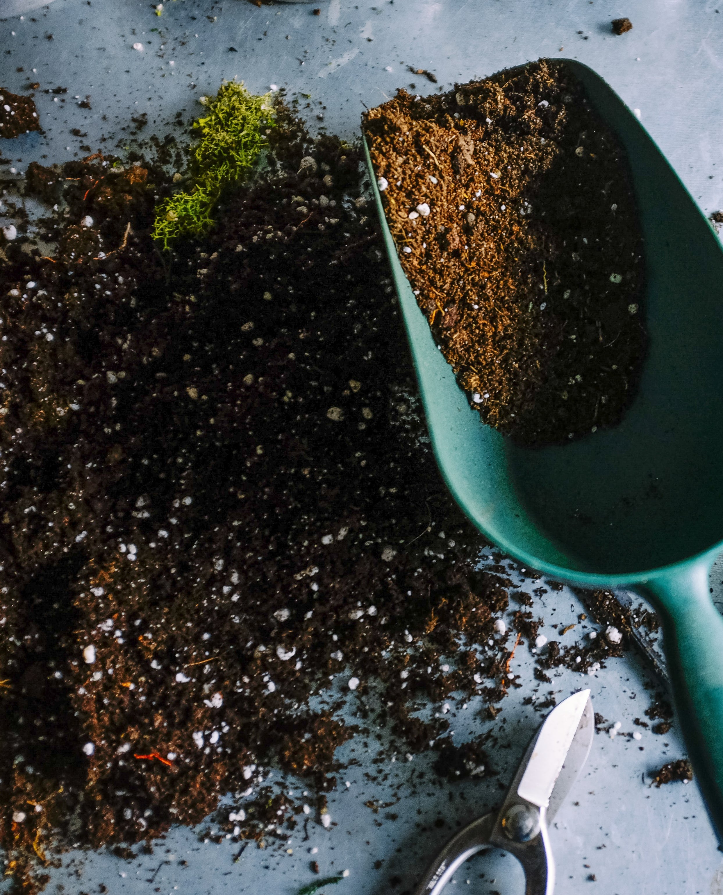 Peat Free Compost - 40L - Narrow Border - Soto Gardens